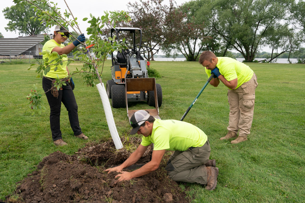 Legacy-Trees FAQ - Legacy-Trees